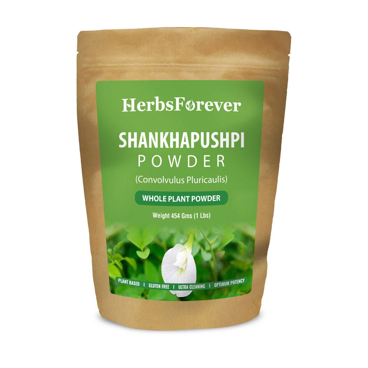 Shankhpushpi Powder - HerbsForever