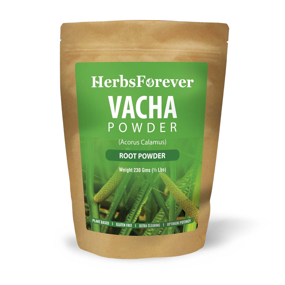 Vacha Powder (For External Use) - HerbsForever