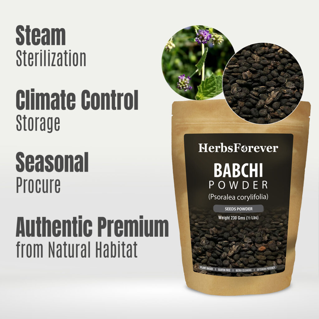 Buy Babchi Powder Online - Herbsforever