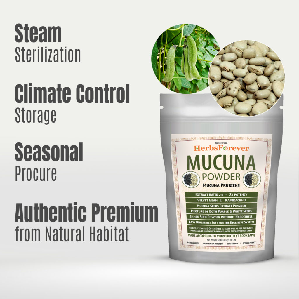 Mucuna Powder - Ayurvedic Health Product - HerbsForever