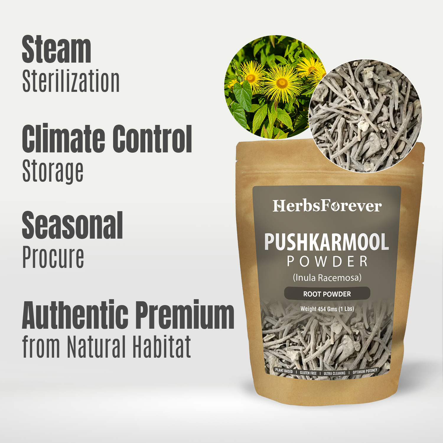 Pushkarmool Powder - HerbsForever