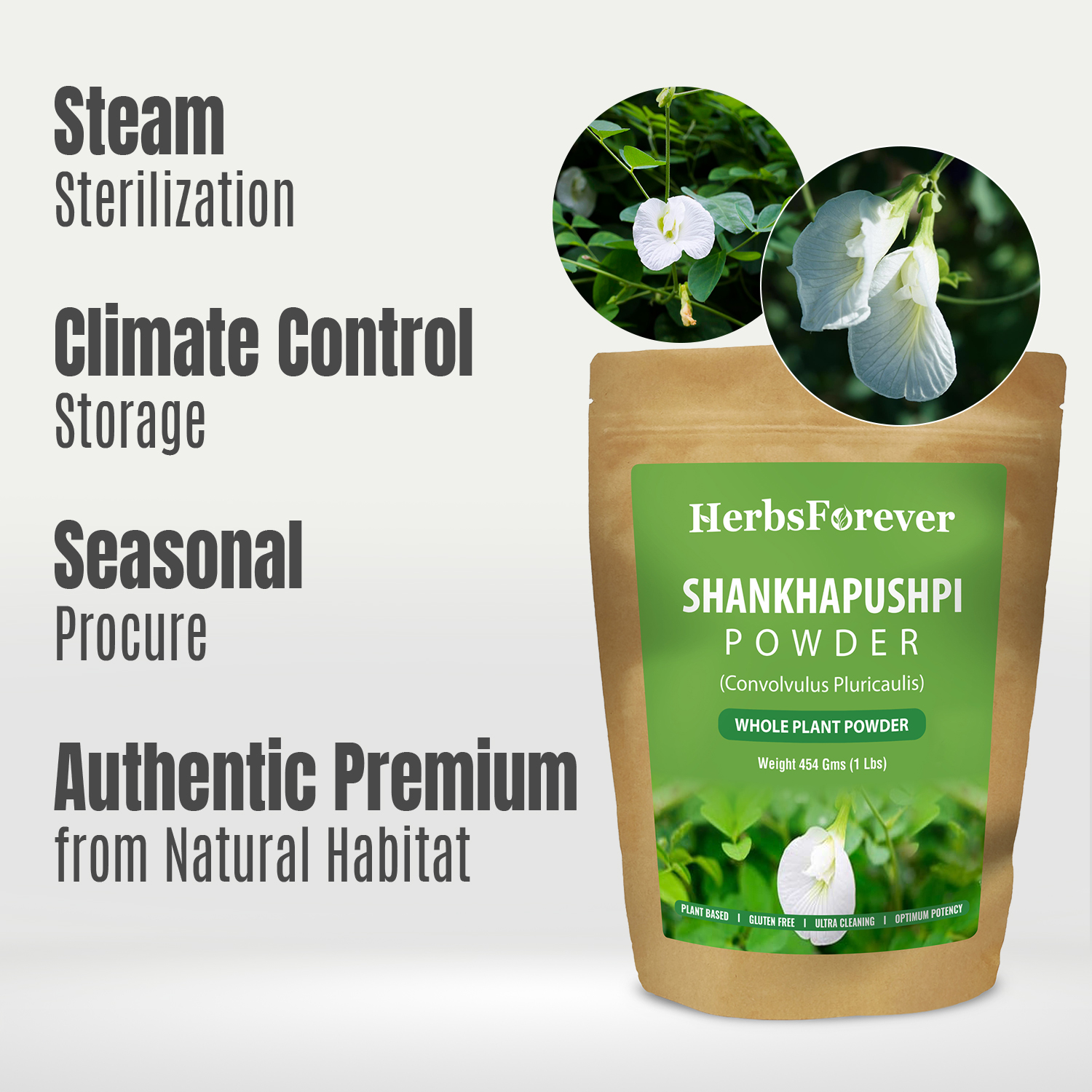 Shankhpushpi Powder - HerbsForever