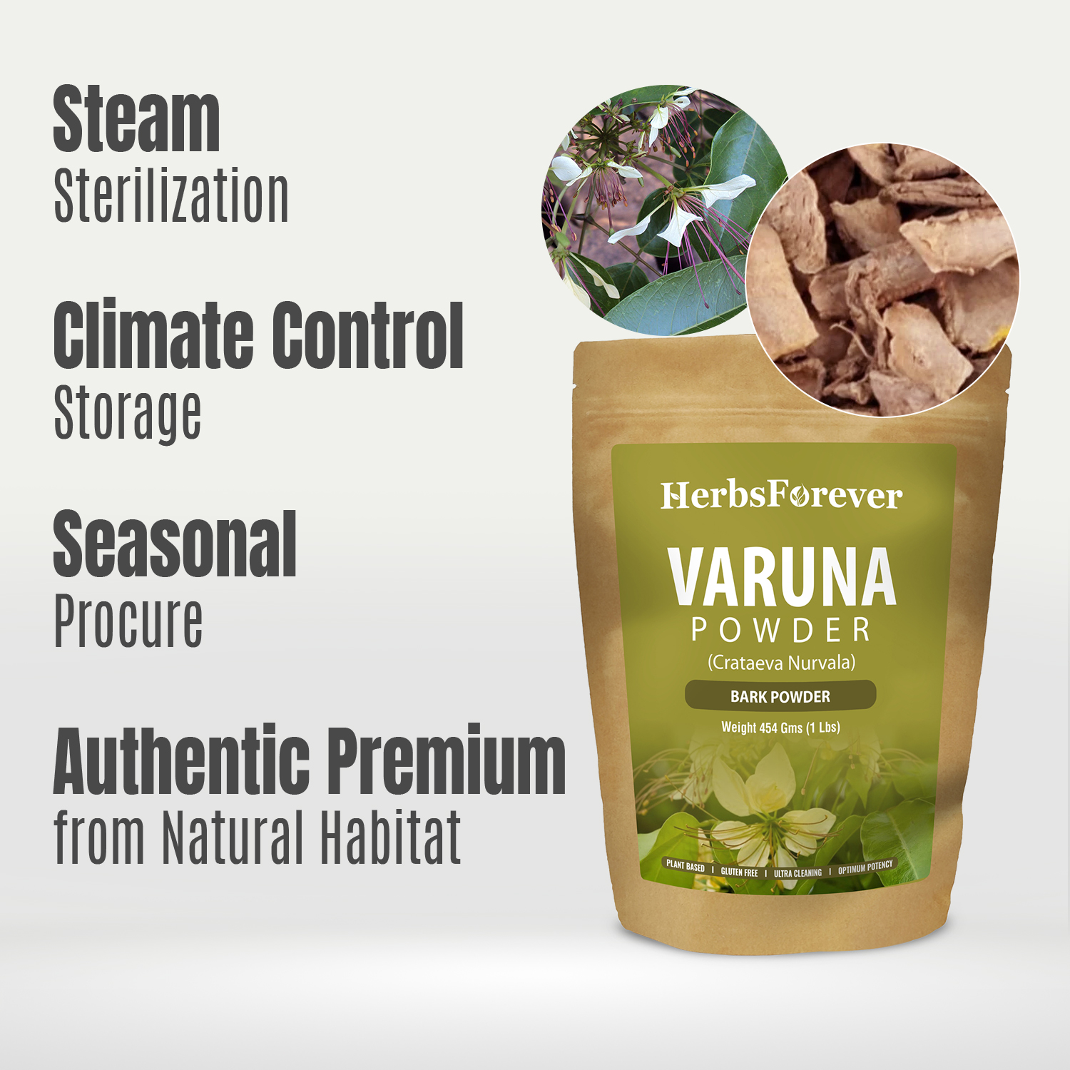 Varuna Powder - Ayurvedic Health Product - HerbsForever