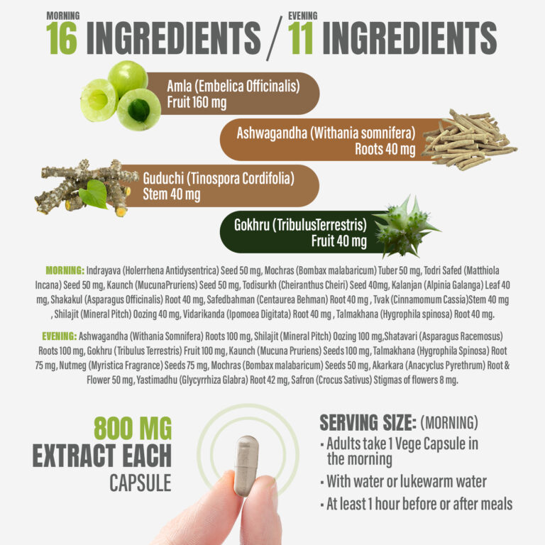 Vigor Forte Capsules - HerbsForever